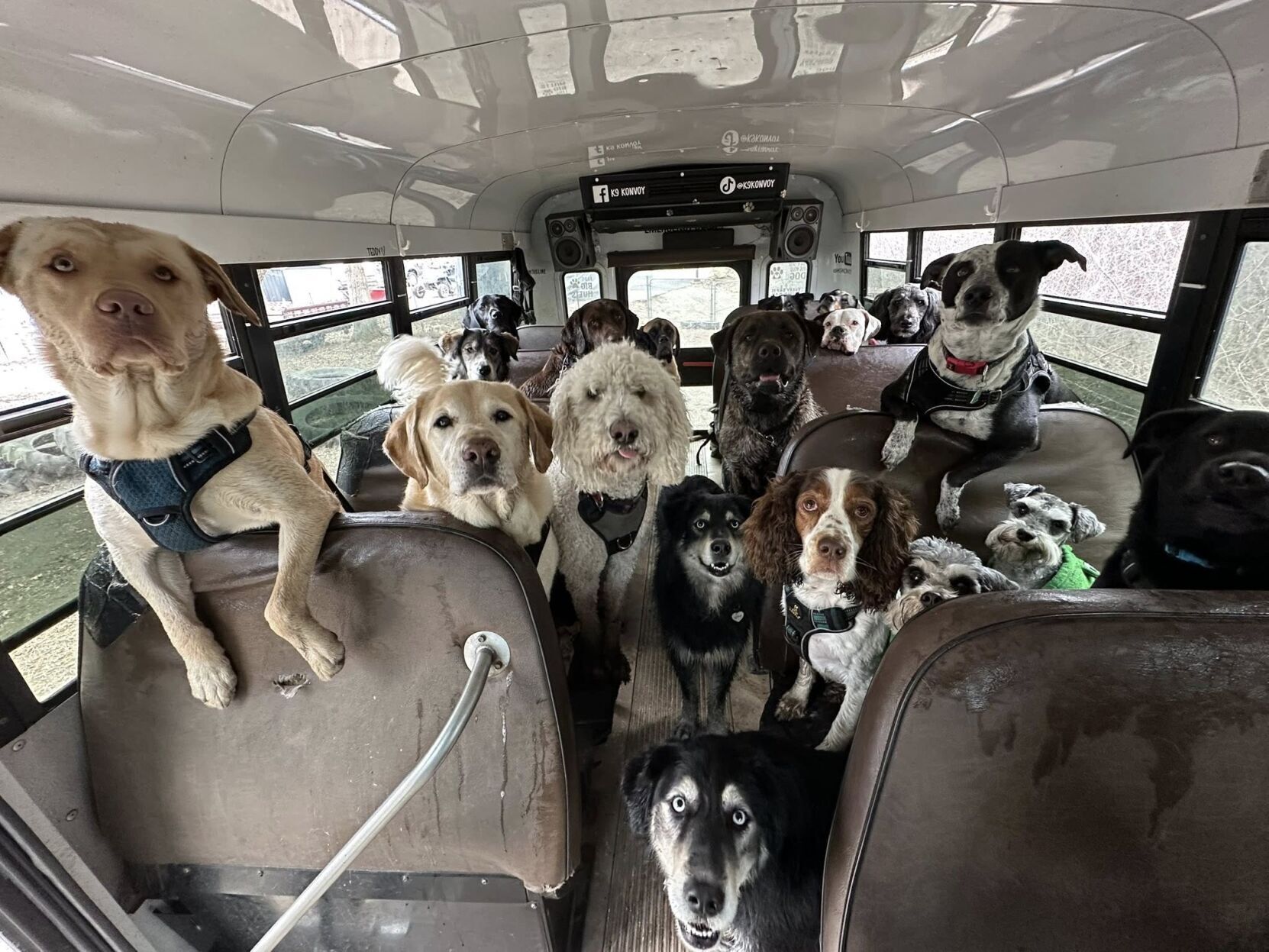 K9 Konvoy and its bus draw millions of fans on social media