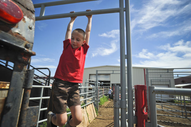 Behind the 4-H show at the fair, is months of preparation — one family ...