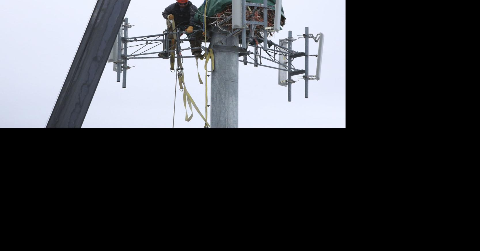 Iconic Helena osprey nest remains intact after removal of cell tower