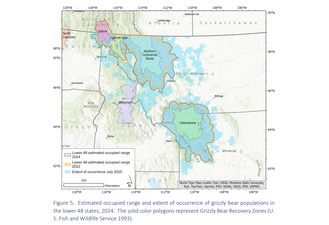 NCDE grizzly bears expand range by 12%, GYE range declines