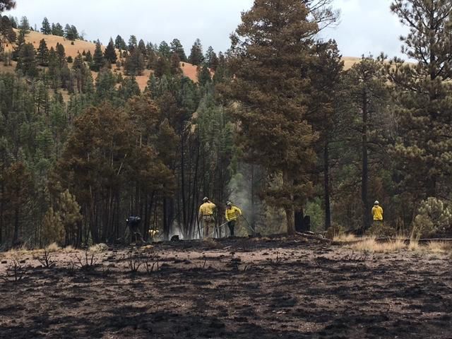 Crews on wildfire near Helena wrap up, most area closures lifted