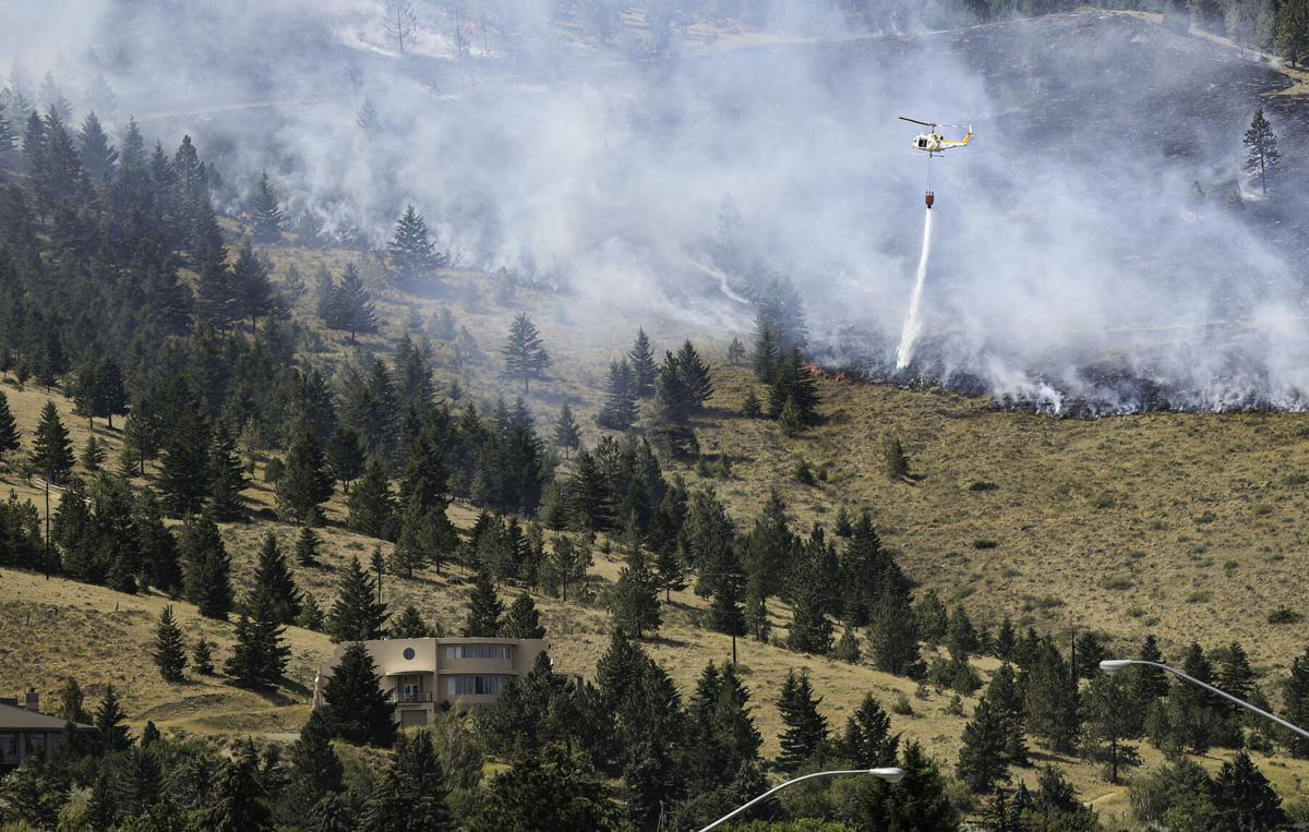 George Wuerthner: Close logging roads to preclude wildfire