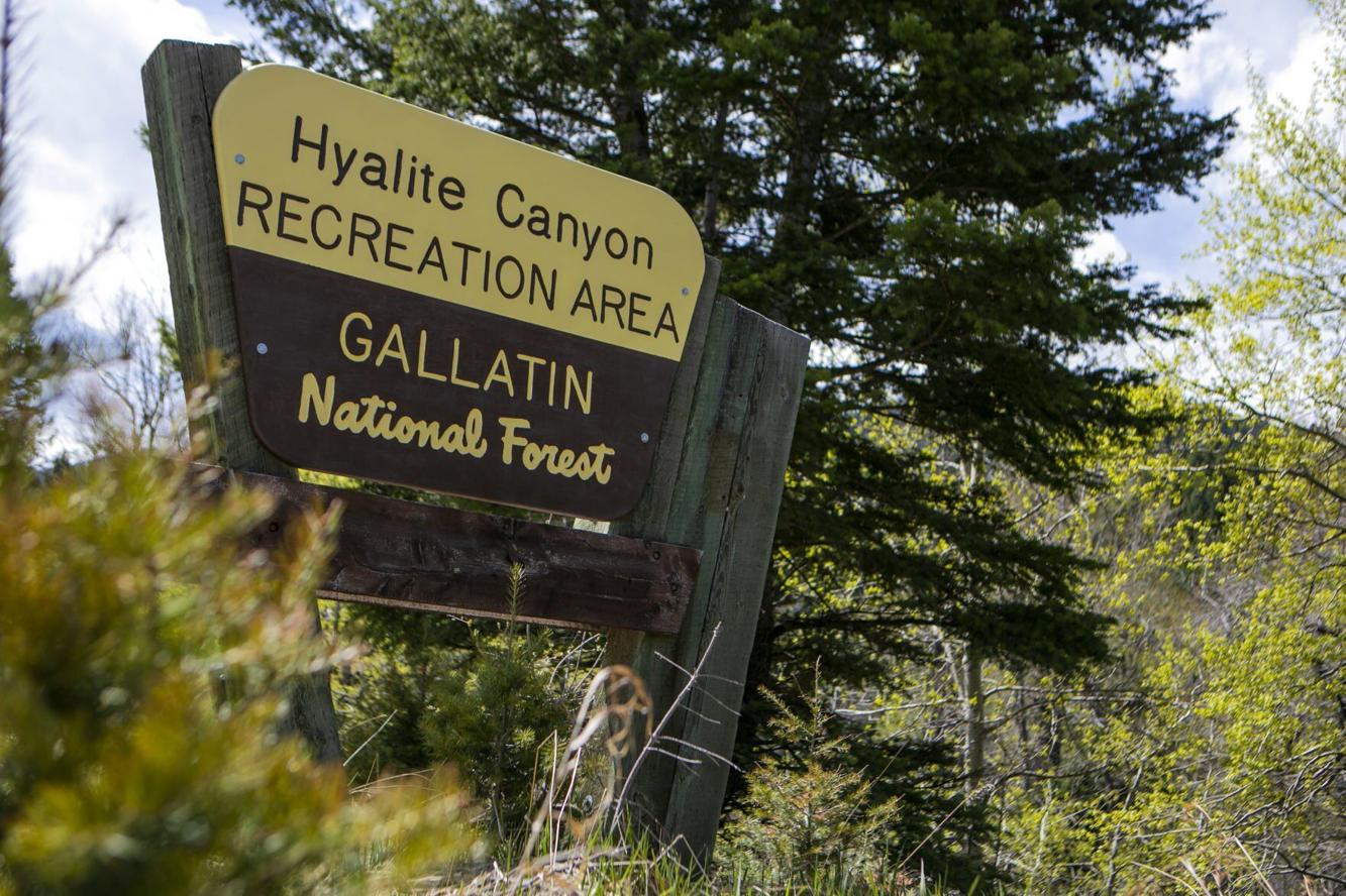 Wood pallets banned from Custer Gallatin National Forest