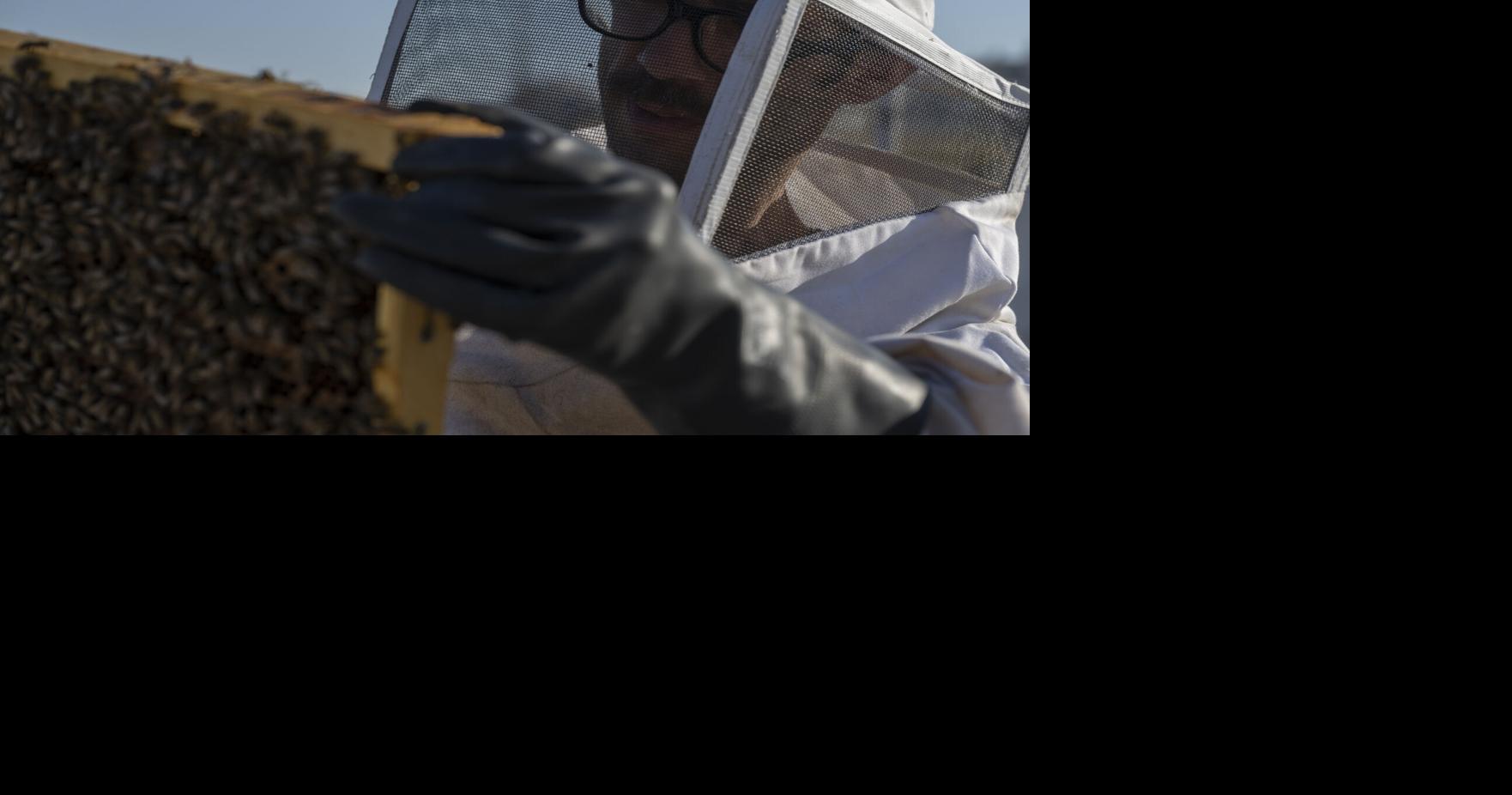 Greece Urban Beekeeping