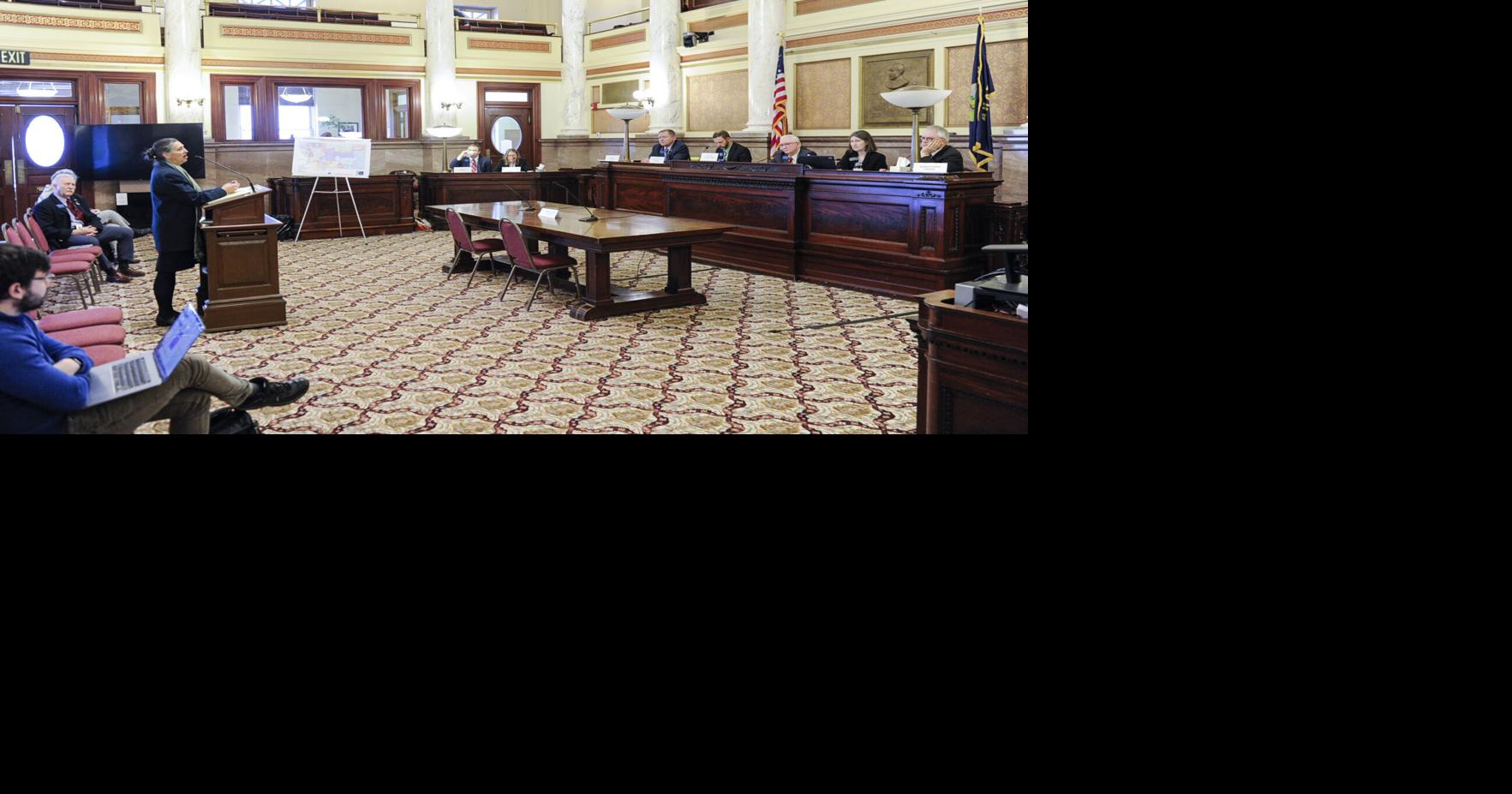 Redistricting Committee Recommends Tweaks To Proposed Legislative Maps