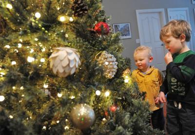 Festival of Trees raises $239,000