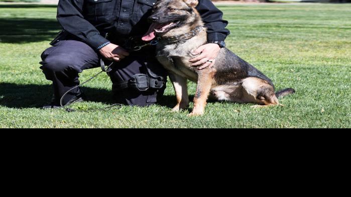 Police introduce new K-9 unit to Helena department | Local | helenair.com