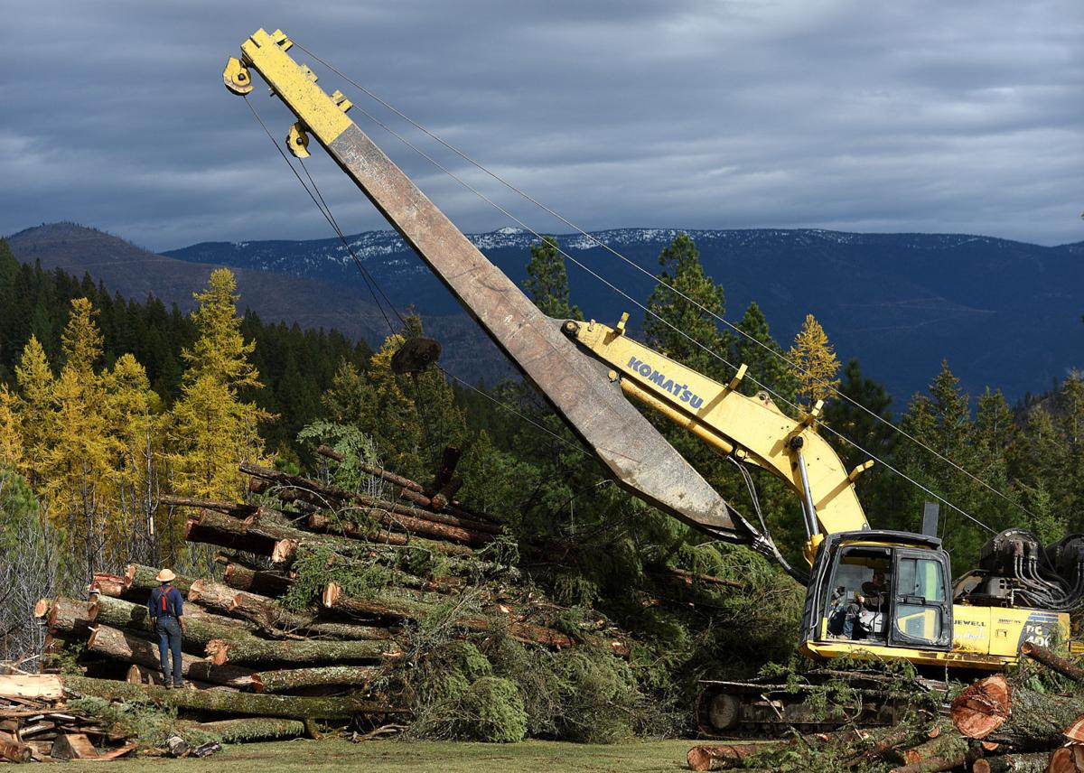 Logging tactics evolve while traditions endure in Montana | Natural ...
