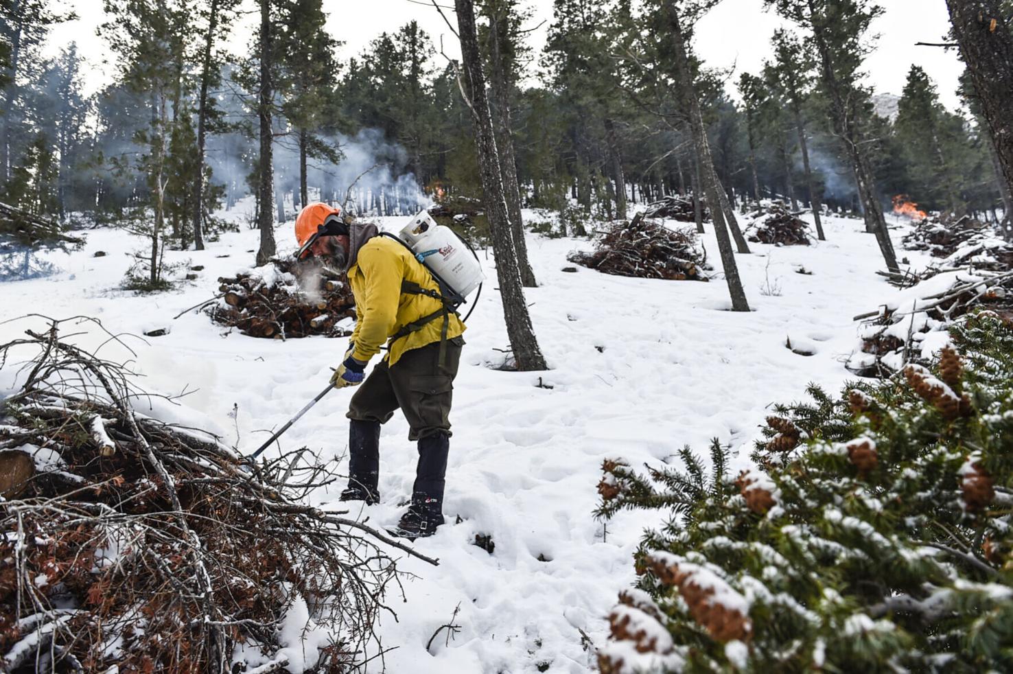 Slash pile burning this week on Mounts Helena, Ascension