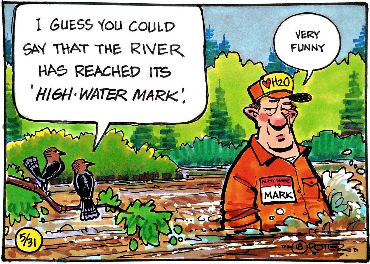 High spring water gives life to many species