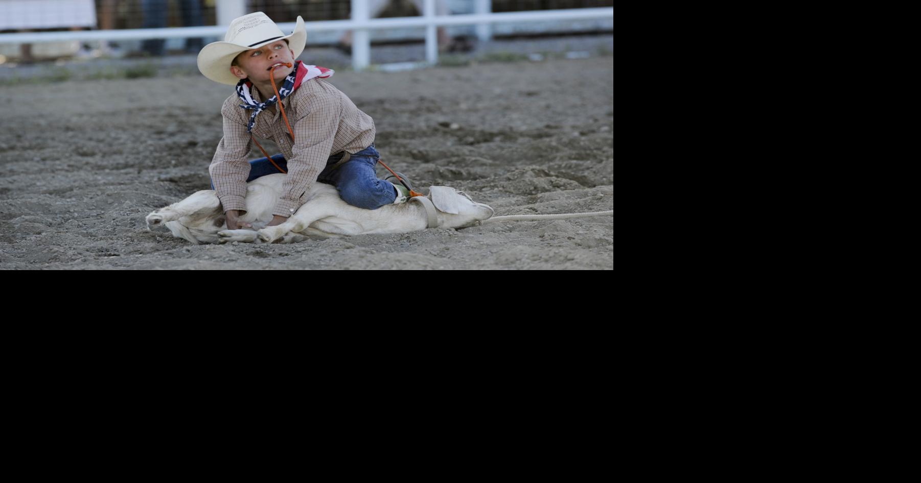 'Going Hog Wild' in Townsend: Broadwater County Fair and Rodeo is Aug. 2-5