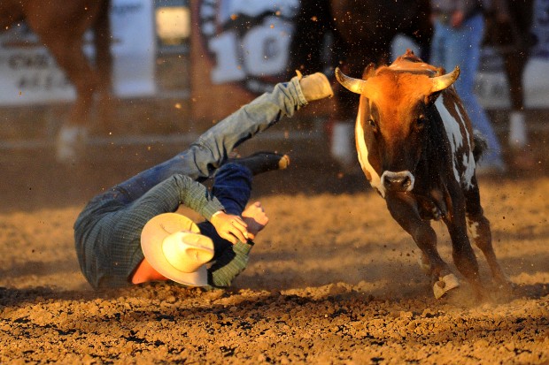 LAST CHANCE STAMPEDE RODEO: Helena's Erickson finishes 3rd in bareback