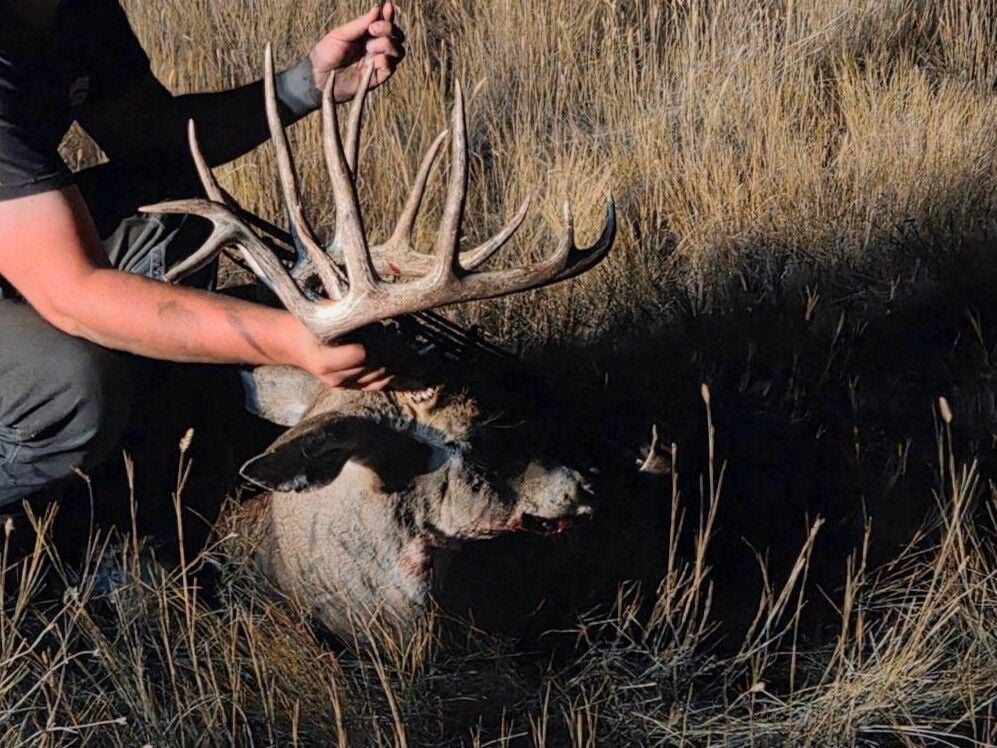 Montana man sentenced for poaching trophy deer