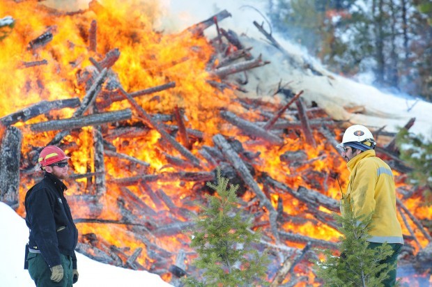 Forest conducts extensive slash pile burns