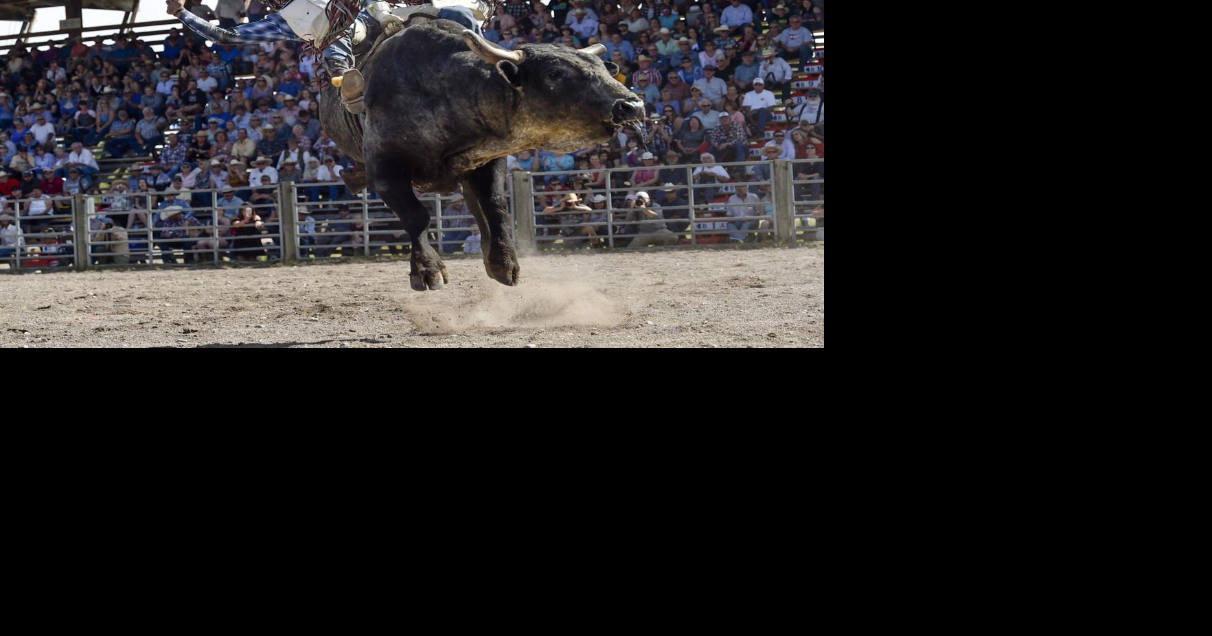 Photos: True grit on display at the Augusta Rodeo