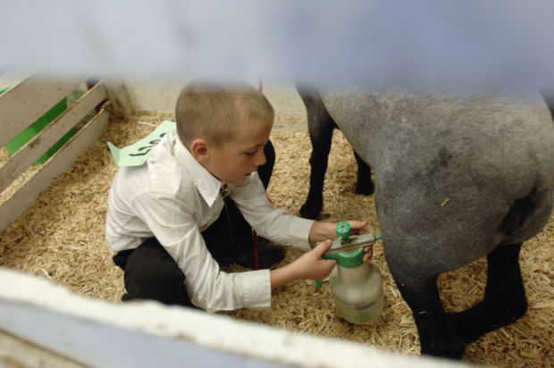 Behind the 4-H show at the fair, is months of preparation — one family ...