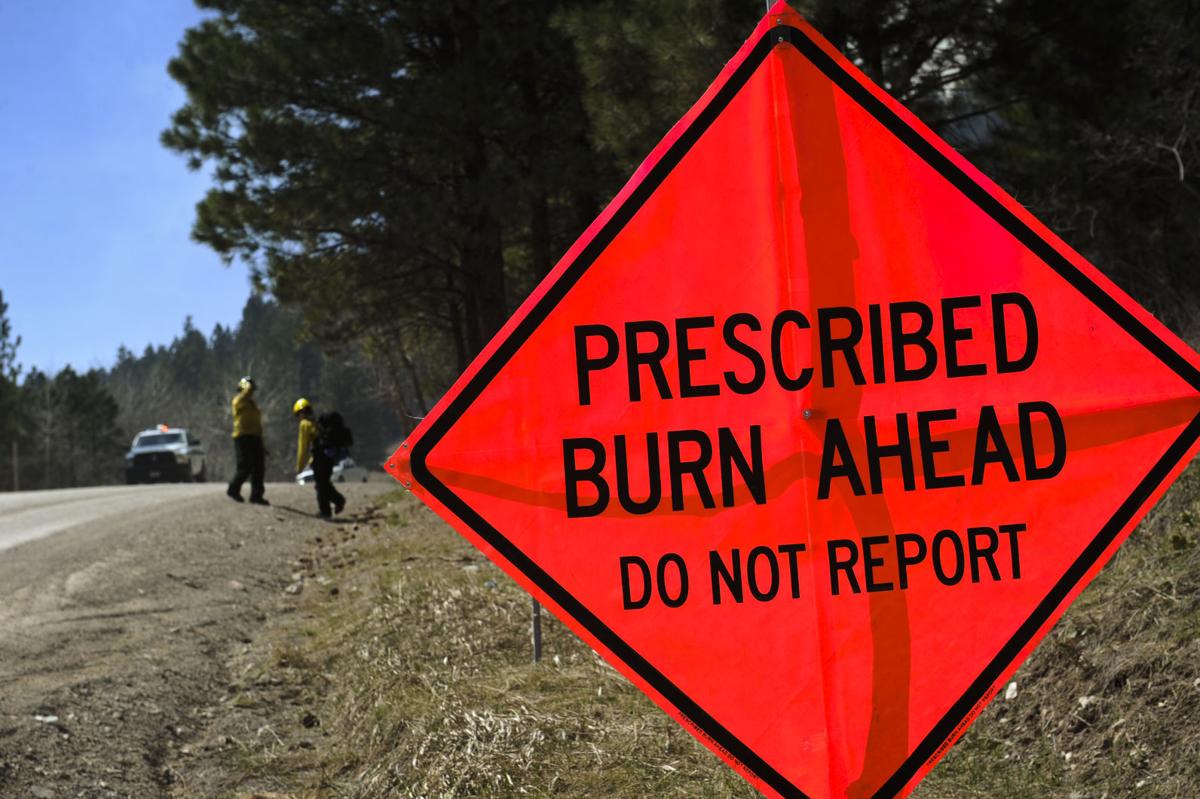 Prescribed burn near York today