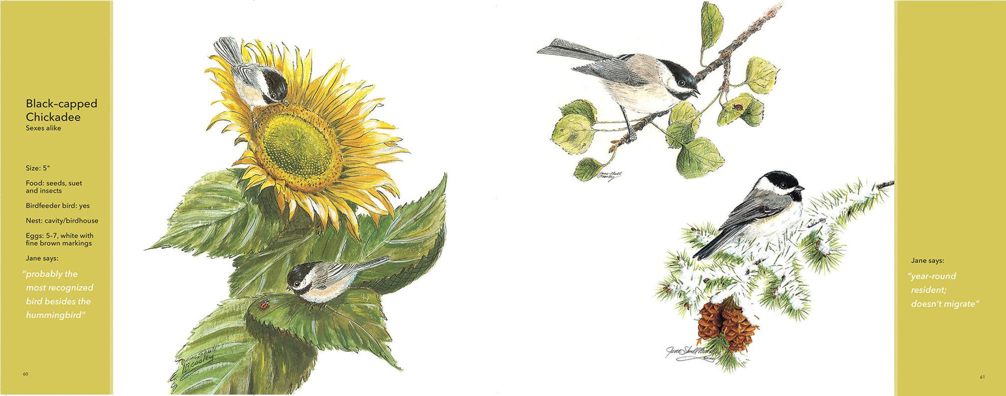 ‘For the Love of Birds’: New book features Jane Shull Beasley’s art