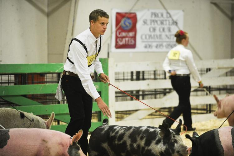 Art of pig showmanship: Jay Deaton and Bear show what it takes to win