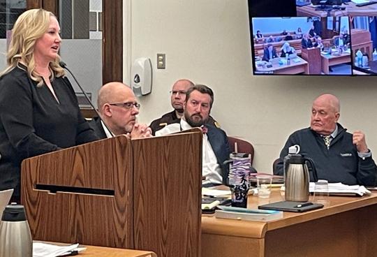 Helena father-daughter attorneys get prison time