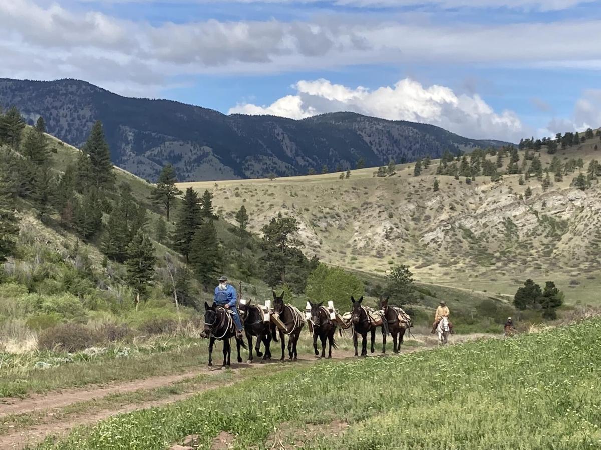 Mann Gulch smokejumper monuments replaced