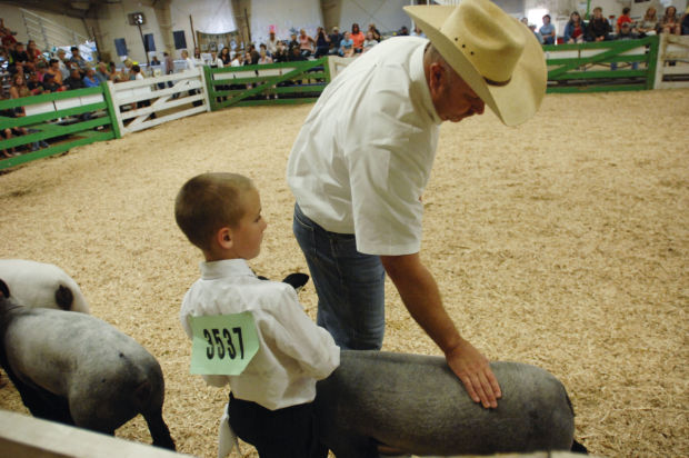 Behind the 4-H show at the fair, is months of preparation — one family ...