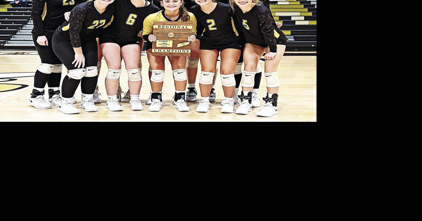 Lady Bees nearly sweep region tourney for title | Sports | herald ...