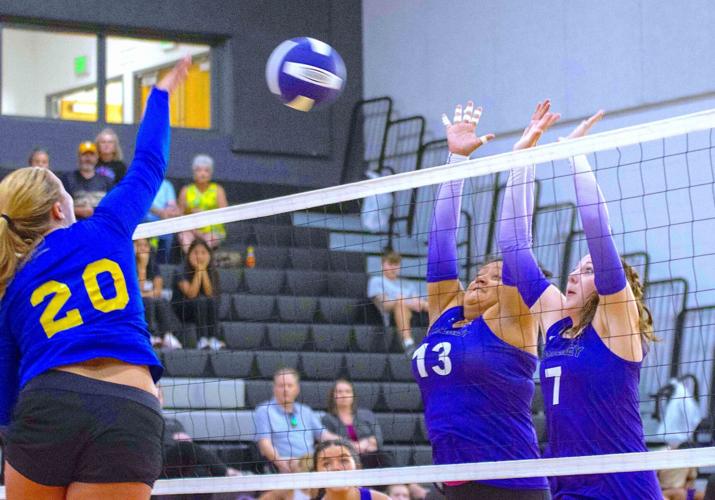 MHS volleyball opens with district shutout win | Sports | herald ...