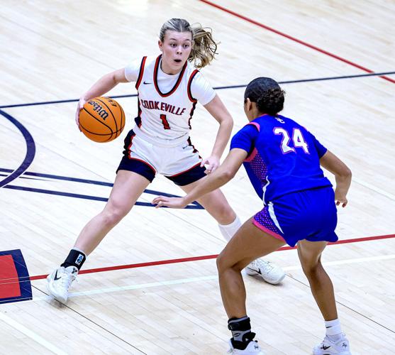 CHS splits 1st home district doubleheader | Sports | herald-citizen.com