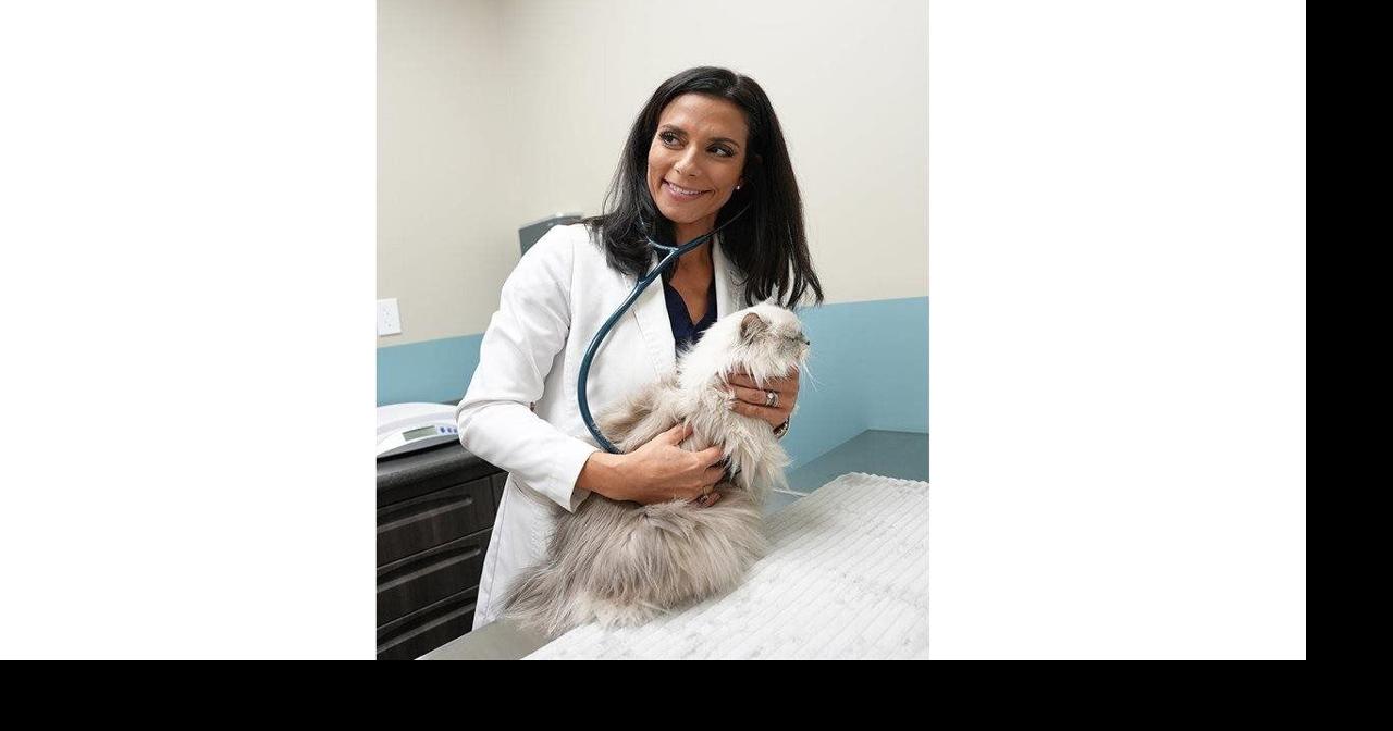 The ultimate gift to monitor your cat's health this holiday season and ...