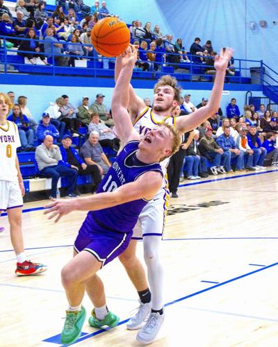 'Cats to play consolation after York semifinal loss | Sports | herald ...