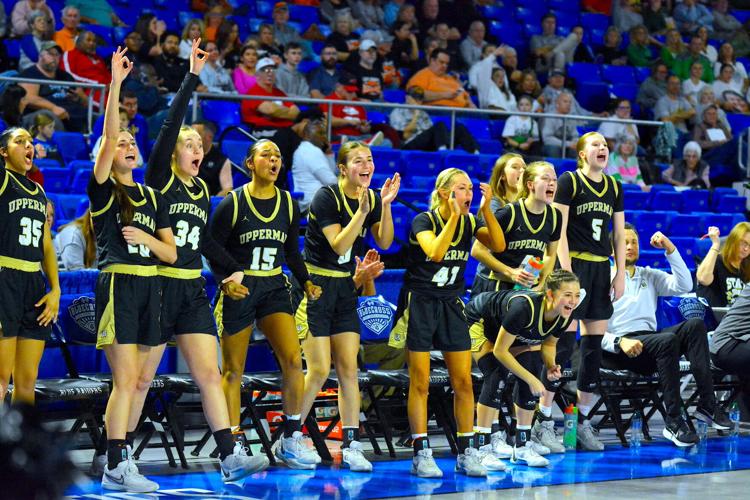 Lady Bees outlast Greeneviile in state quarterfinals | Sports | herald ...