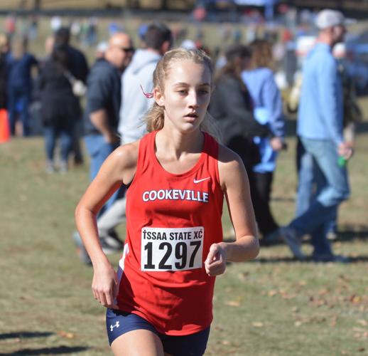 Katie Hetzel takes 3rd at State Meet | Sports | herald-citizen.com