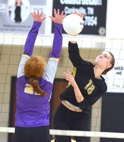 Lady Bees nearly sweep region tourney for title | Sports | herald ...