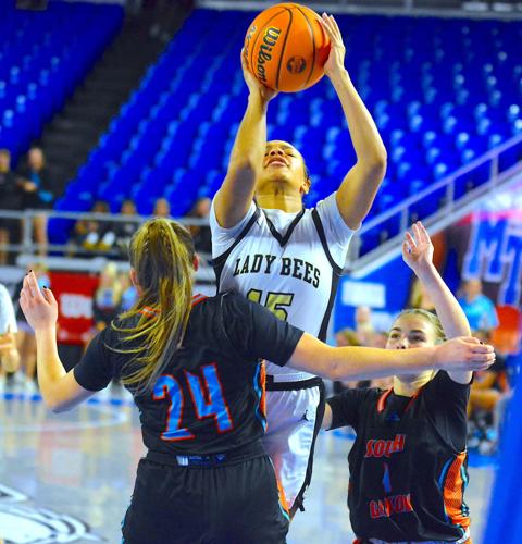 Lady Bees headed to state final with rout of South Gibson | Sports ...