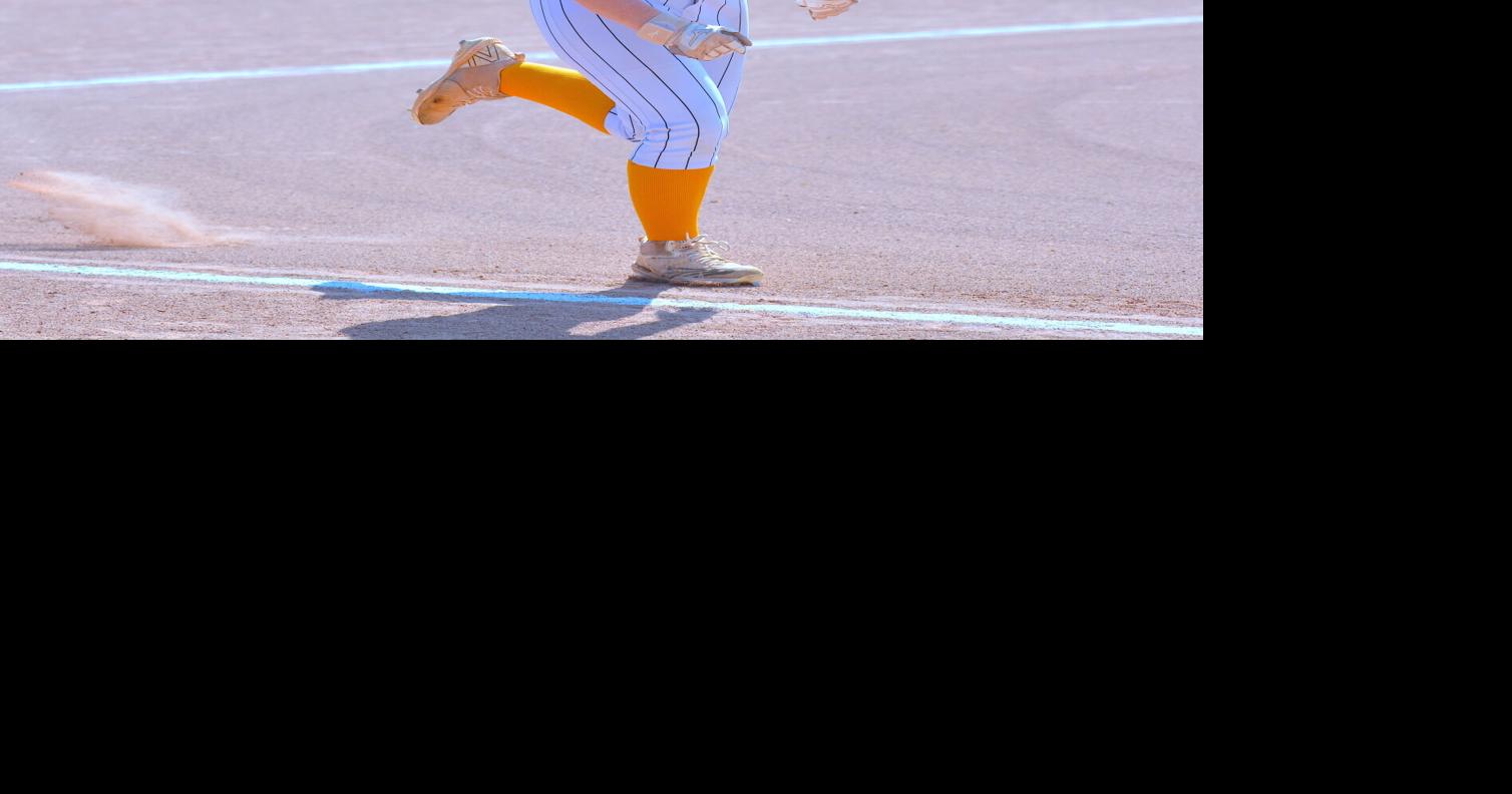 Lady Bees drop two at state tournament | Sports | herald-citizen.com