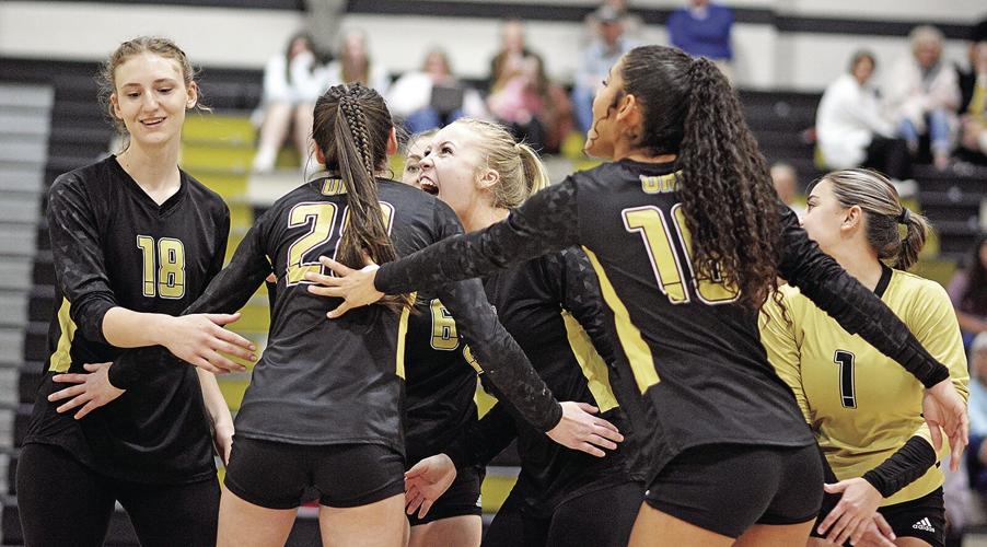 Lady Bees nearly sweep region tourney for title | Sports | herald ...