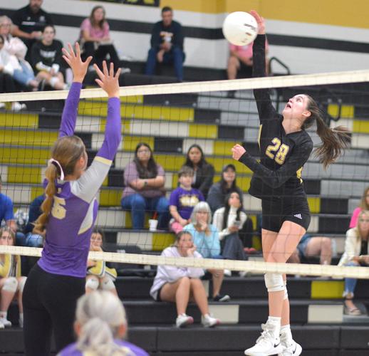 Lady Bees nearly sweep region tourney for title | Sports | herald ...