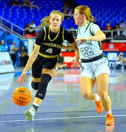 Lady Bees outlast Greeneviile in state quarterfinals | Sports | herald ...