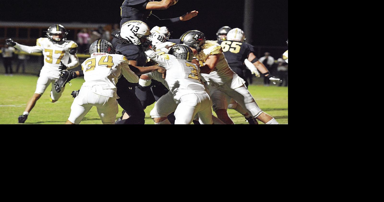 Bees try for perfect season against Tigers | Sports | herald-citizen.com