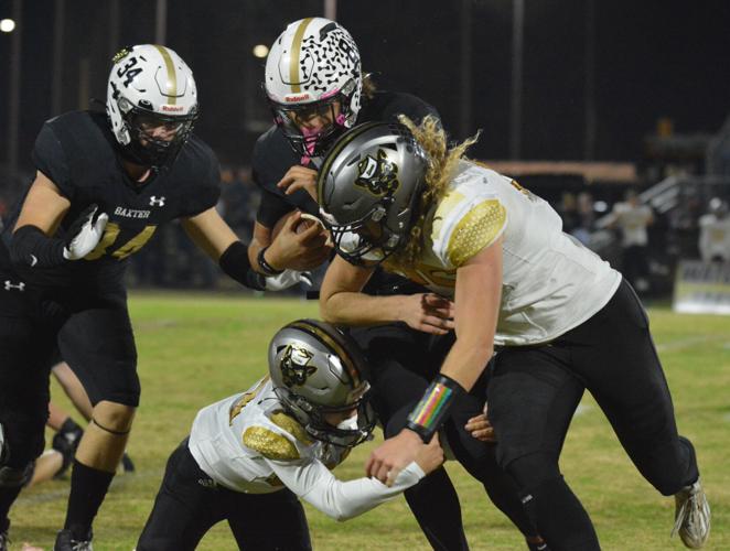 Bee sting panthers again to advance | Sports | herald-citizen.com