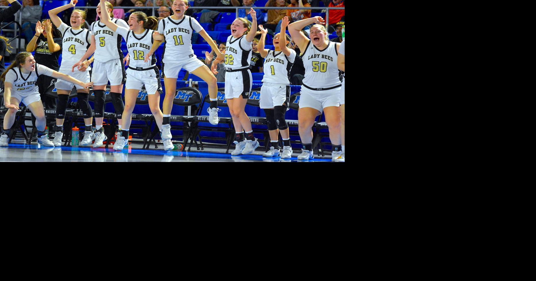 Lady Bees headed to state final with rout of South Gibson | Sports ...
