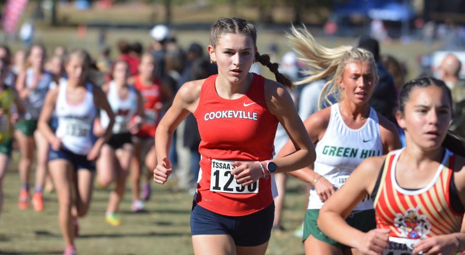 Katie Hetzel takes 3rd at State Meet | Sports | herald-citizen.com