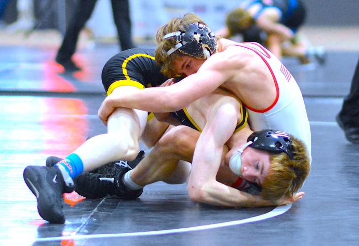 Upperman's Haney brothers earn State medals | Sports | herald-citizen.com
