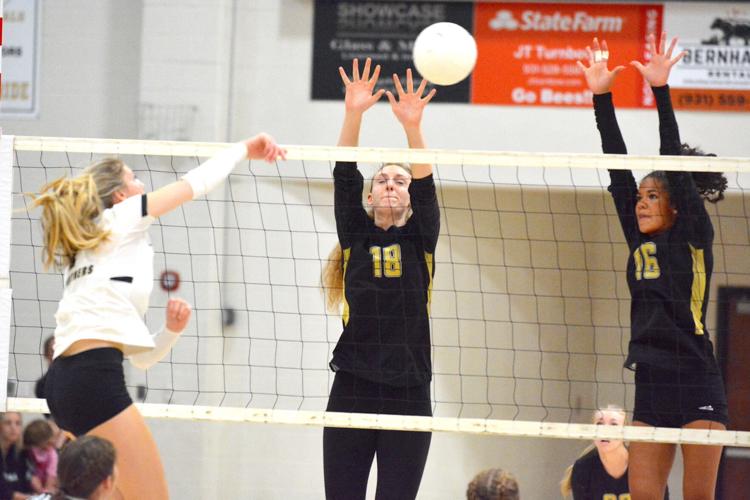 Lady Bees drop 5-set thriller against SMHS | Sports | herald-citizen.com