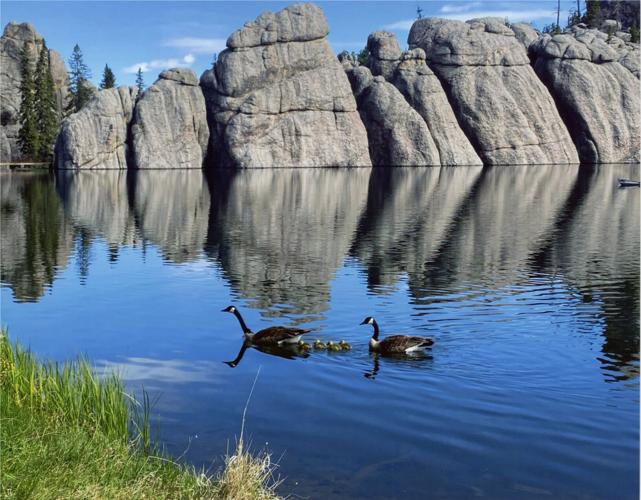 Putnam County Fair Photo Contest Winners | News | herald-citizen.com
