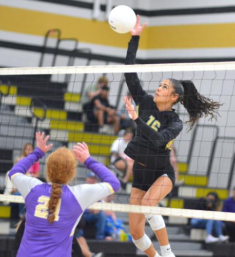 Lady Bees nearly sweep region tourney for title | Sports | herald ...
