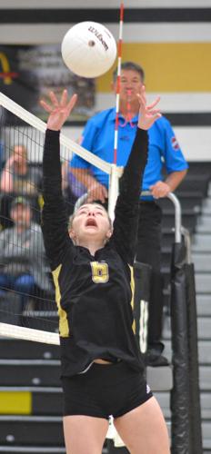 Lady Bees nearly sweep region tourney for title | Sports | herald ...