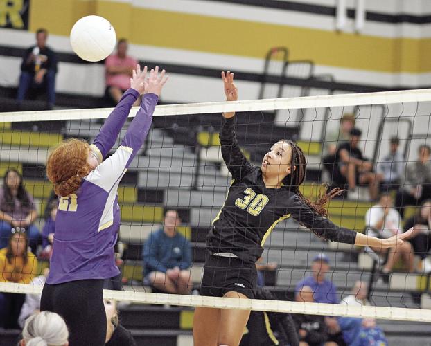 Lady Bees nearly sweep region tourney for title | Sports | herald ...