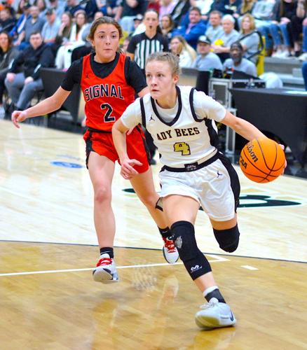 Lady Bees headed to state with rout of Eagles | Sports | herald-citizen.com